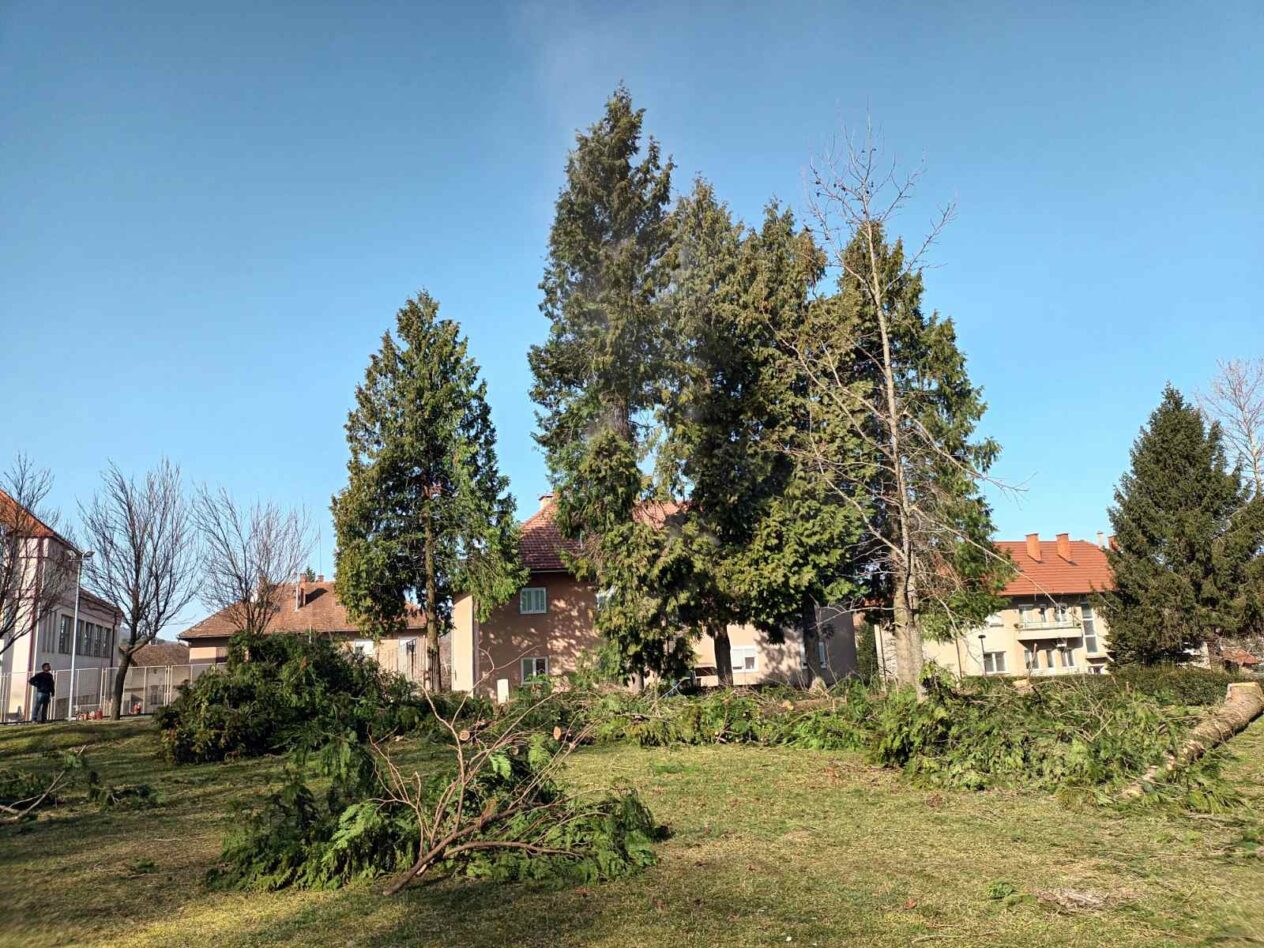 Grad Lepoglava - kolijevka znanosti, umjetnosti i kulture