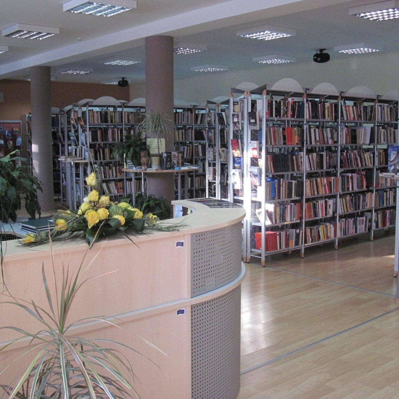 Grad Lepoglava - kolijevka znanosti, umjetnosti i kulture